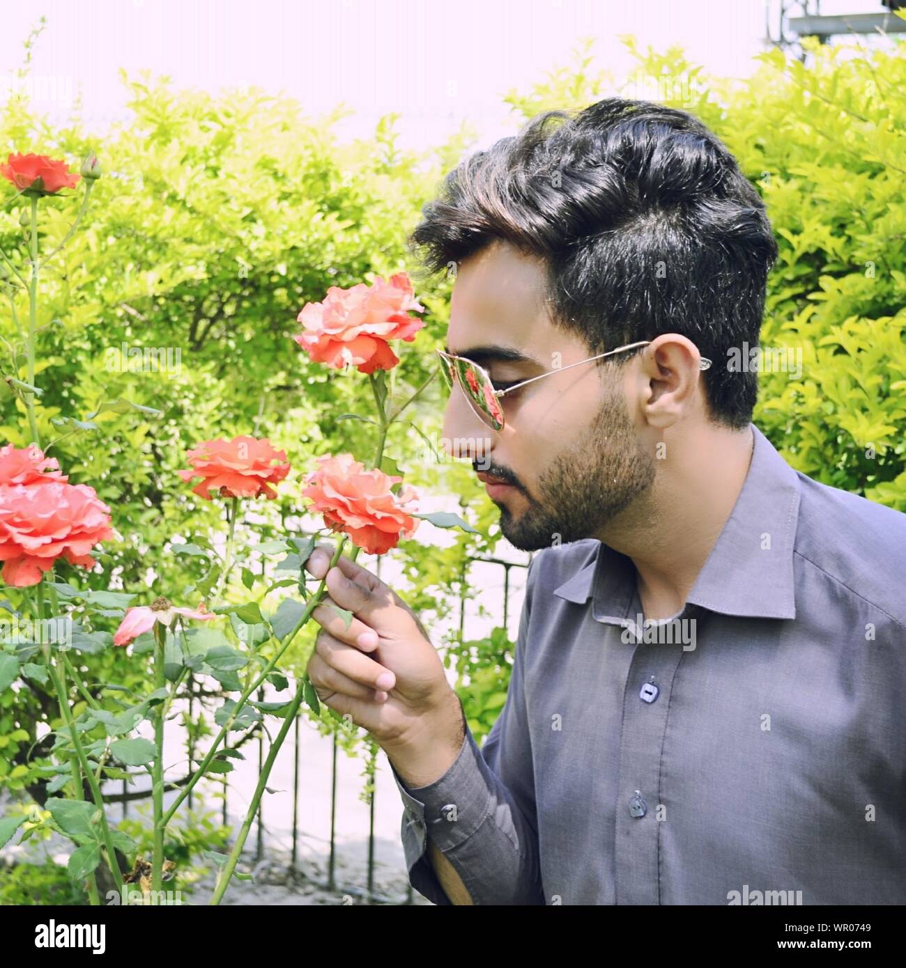 Man Smelling Flower High Resolution Stock Photography and Images - Alamy