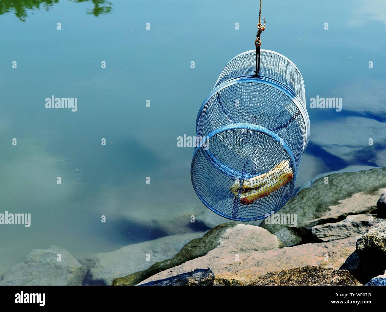 Food trapped hi-res stock photography and images - Alamy