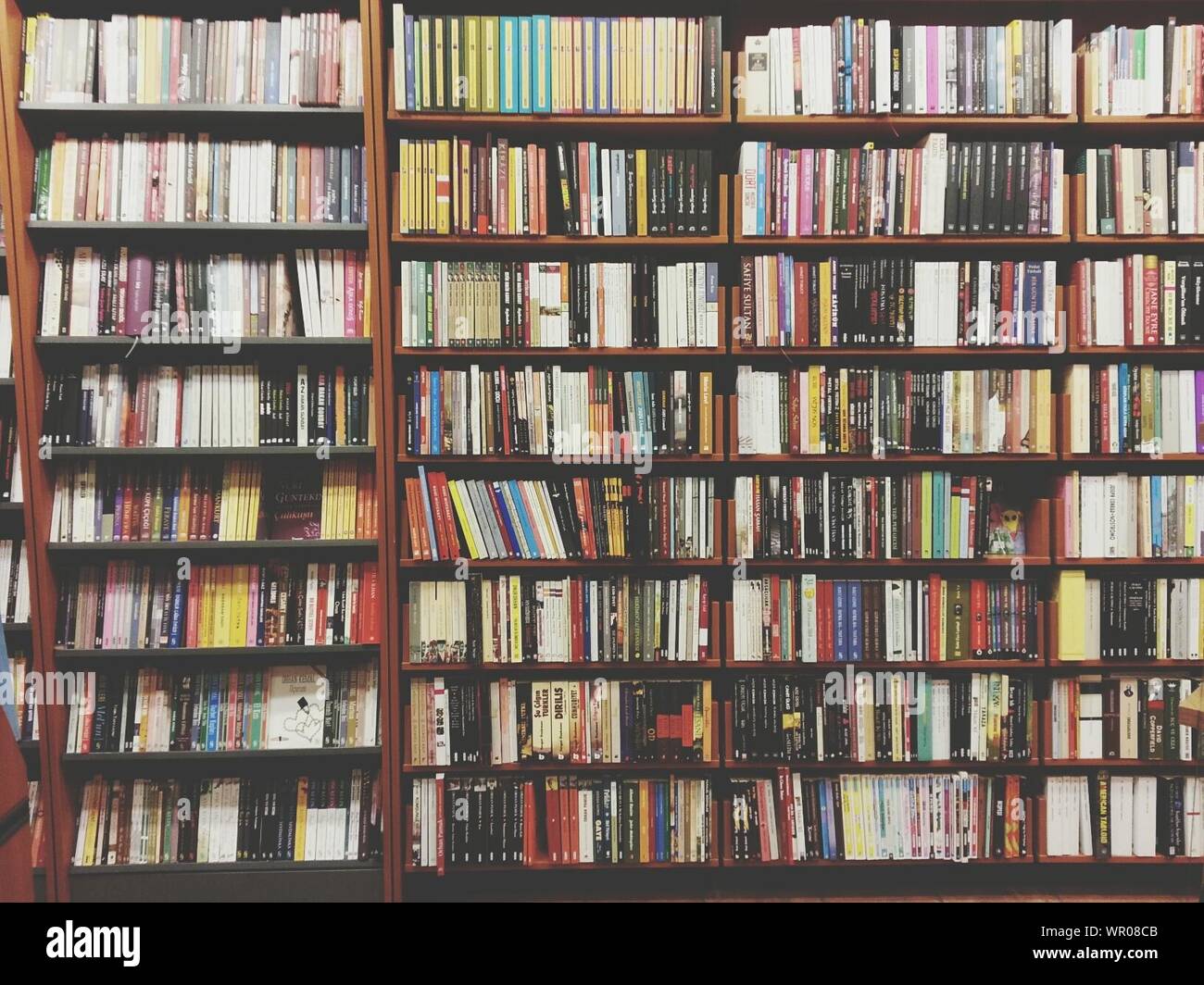 Full bookshelf hi-res stock photography and images - Alamy