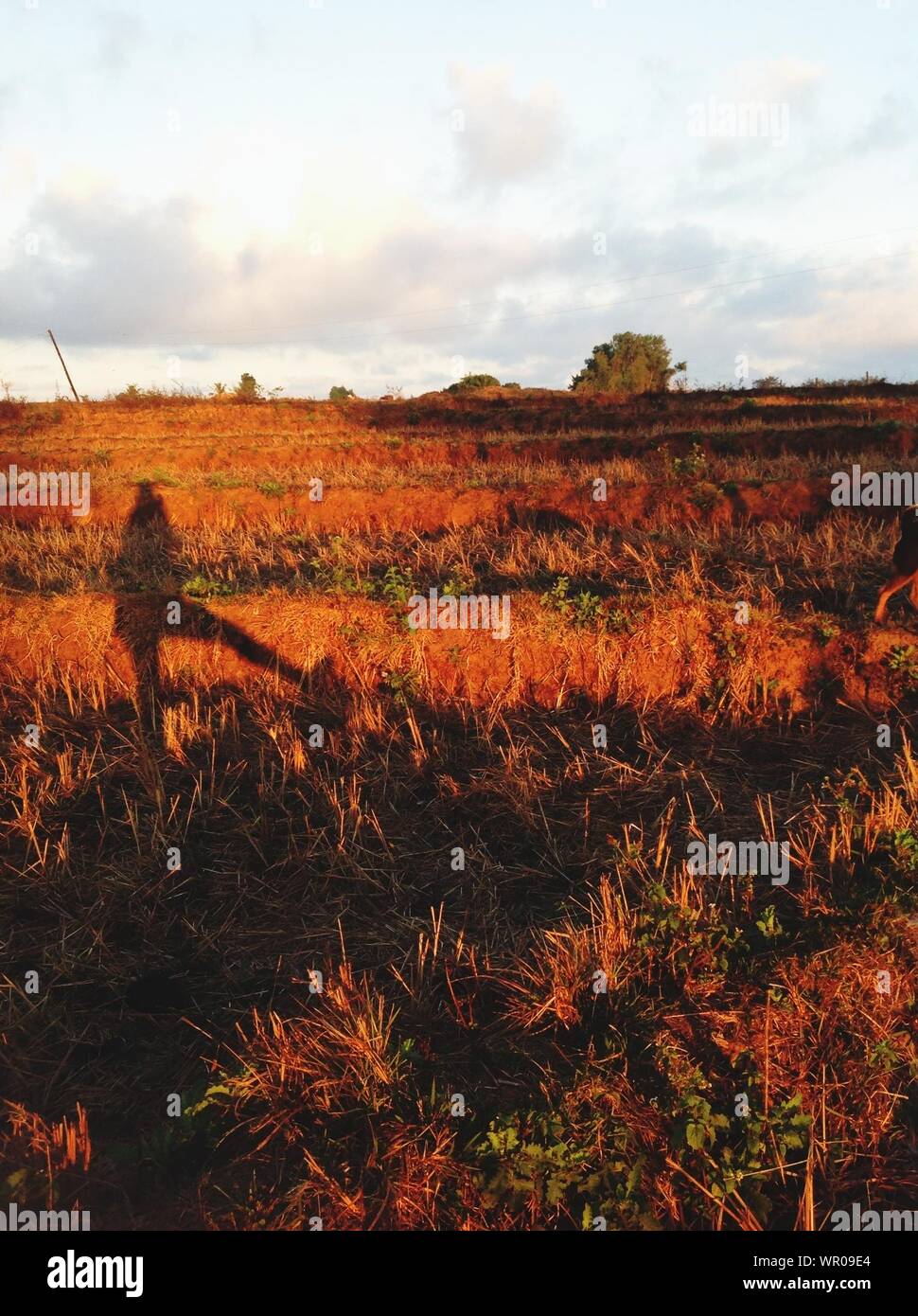 Cloud shadow on field hi-res stock photography and images - Alamy