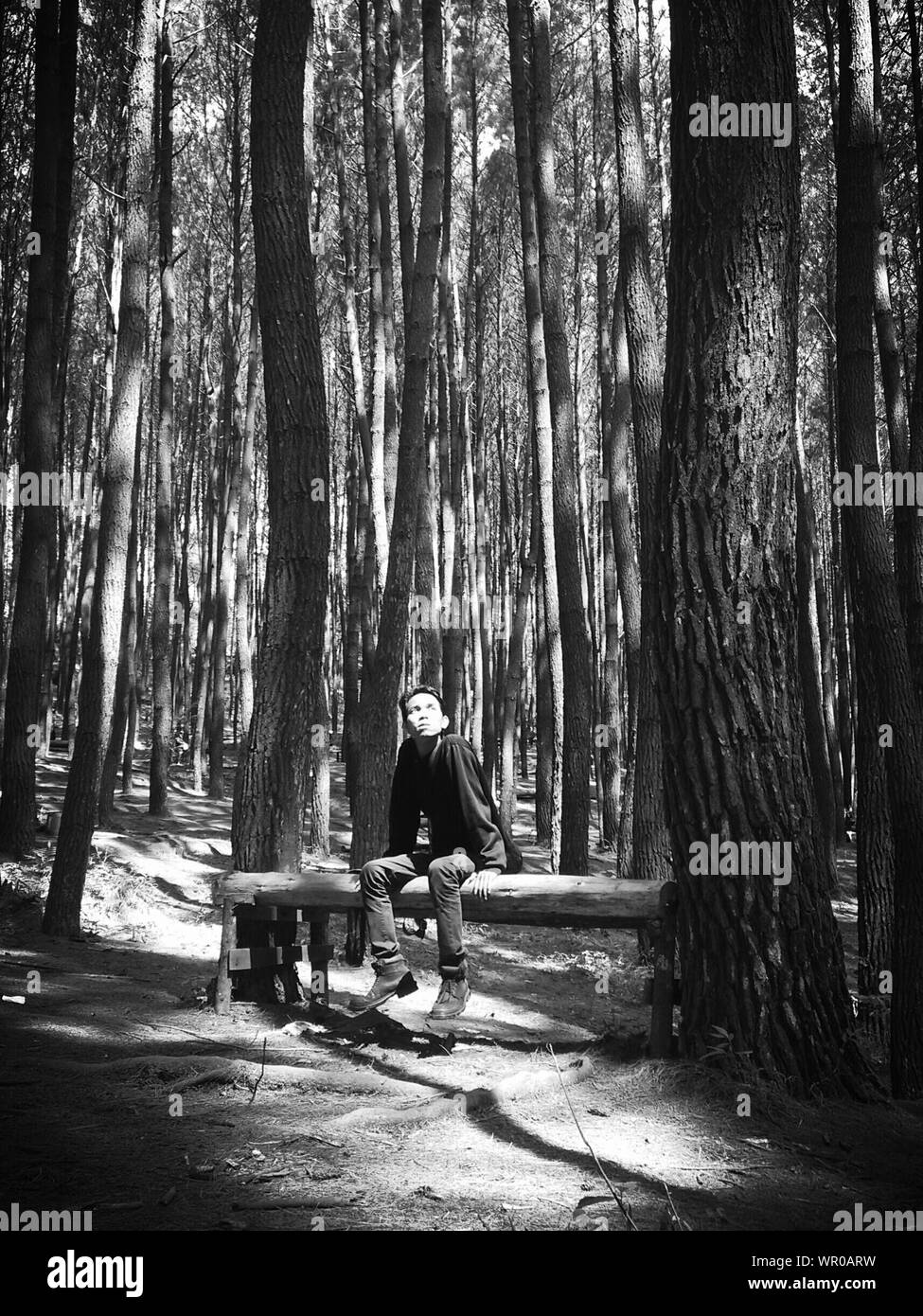 Log sitting forest Black and White Stock Photos & Images - Alamy