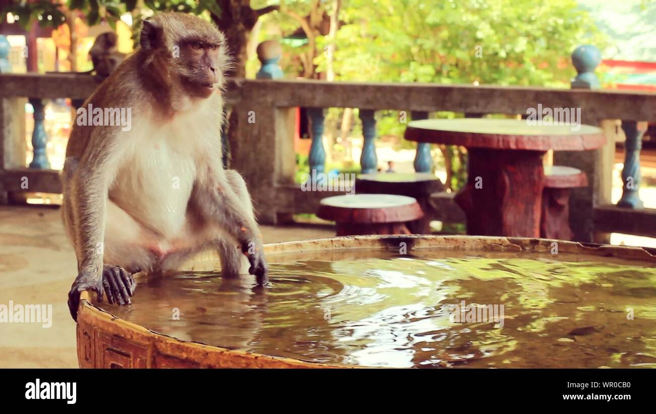 Sitting in his tub hi-res stock photography and images - Alamy