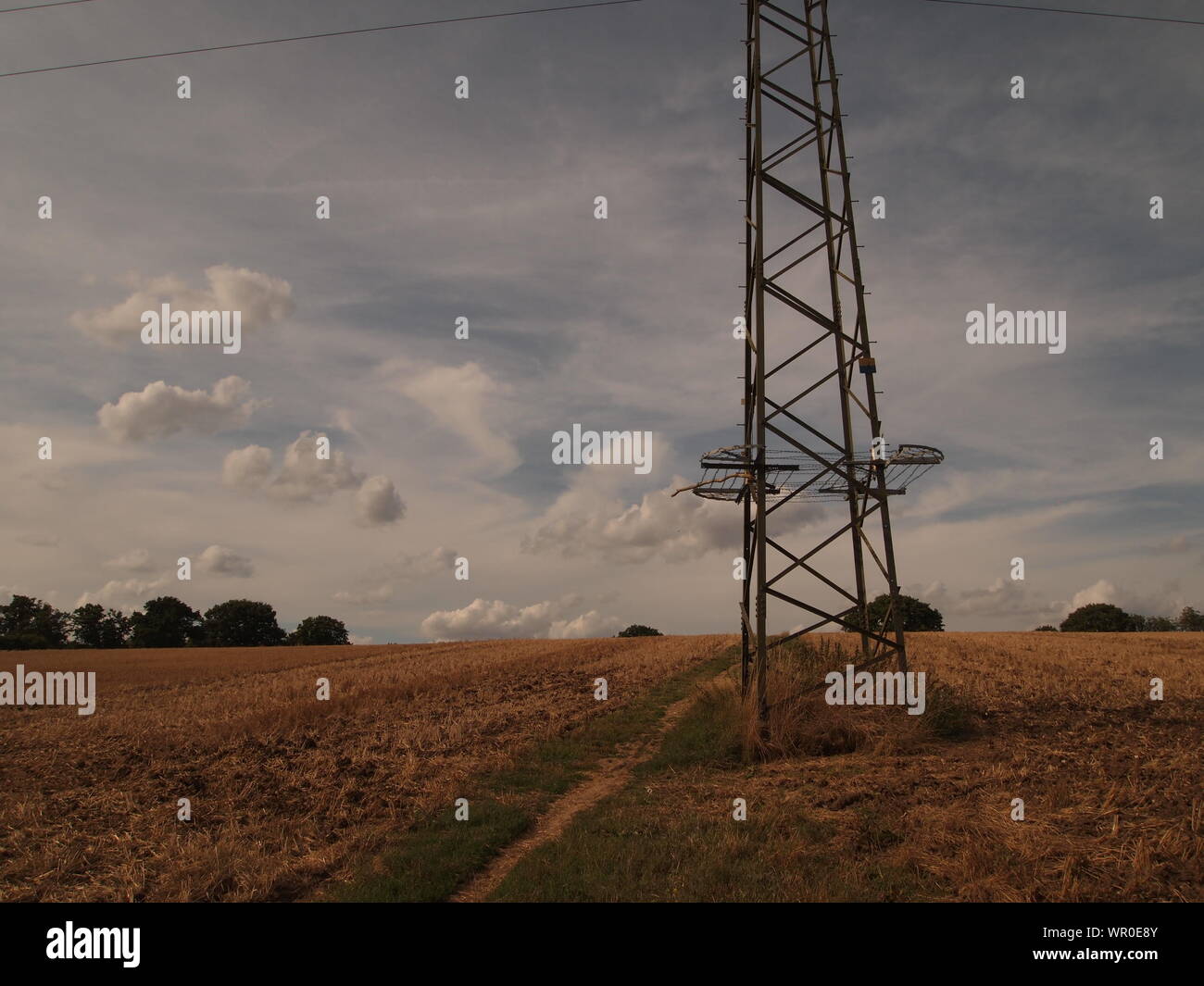 Pylon field hi-res stock photography and images - Alamy