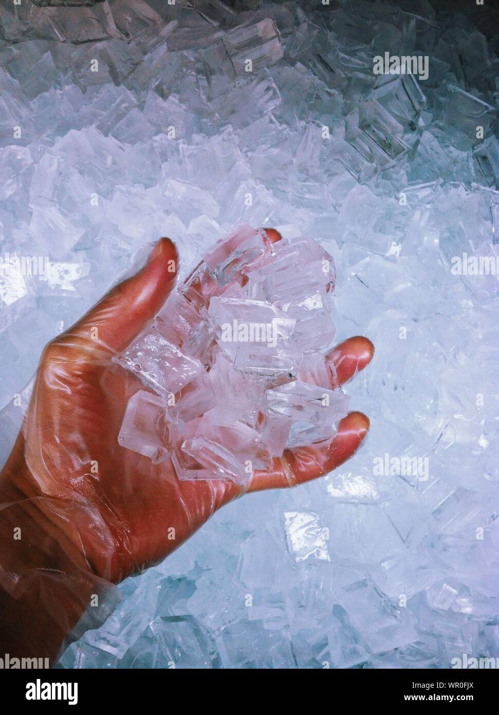 Hand holding ice cubes hi-res stock photography and images - Alamy