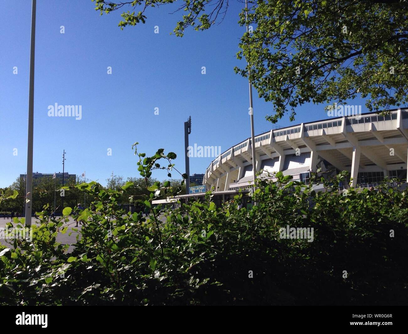 Foreground bushes hi-res stock photography and images - Alamy