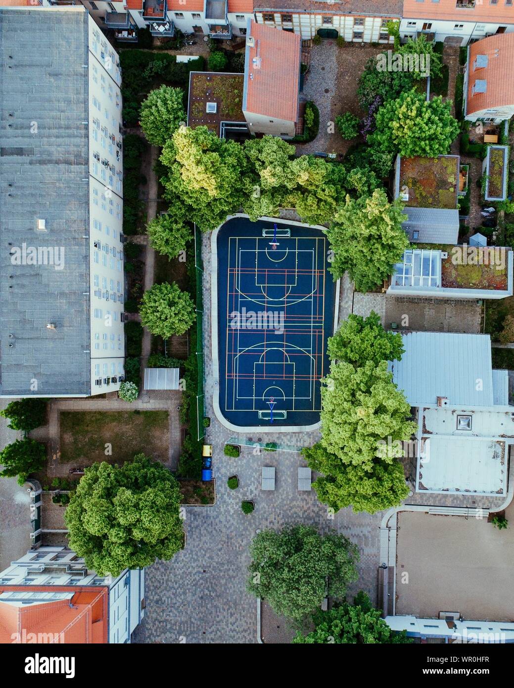 City above trees hi-res stock photography and images - Alamy