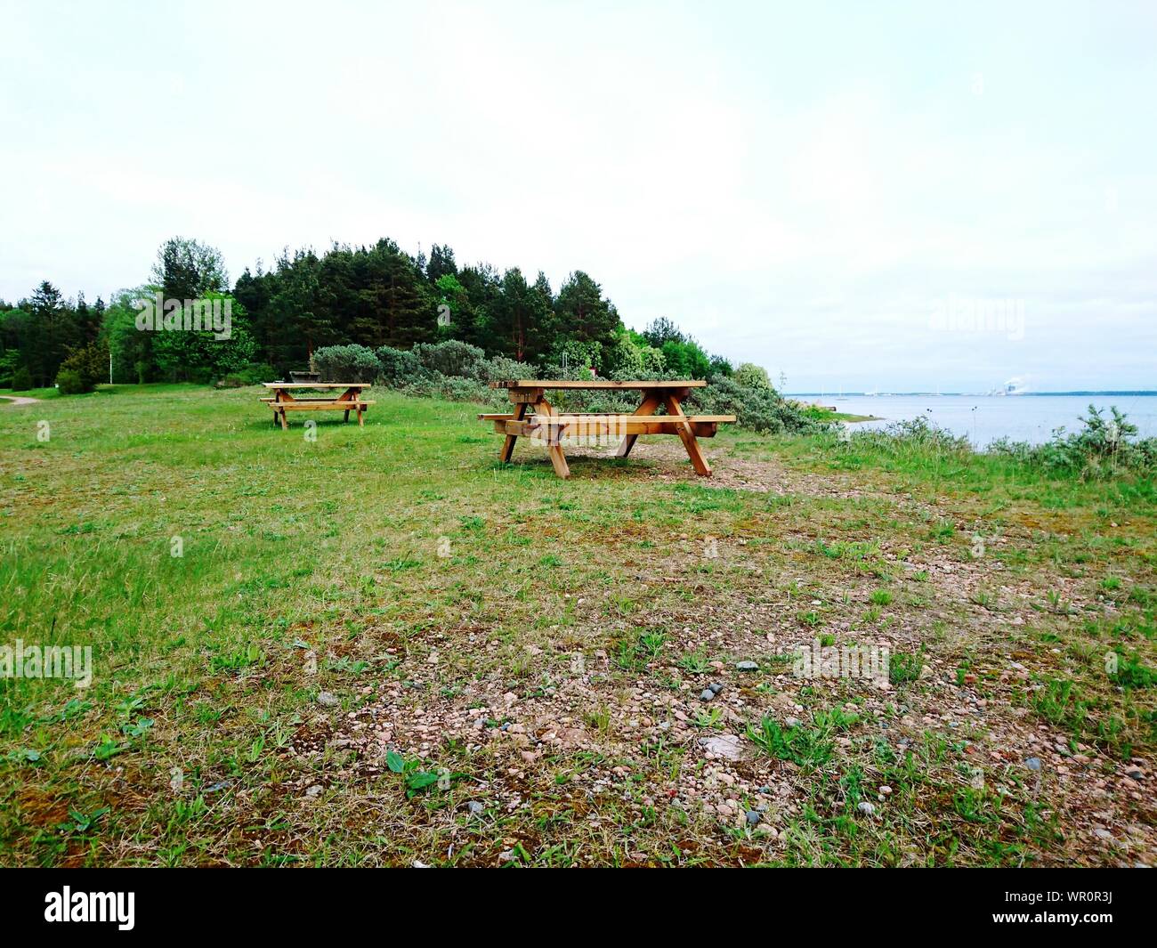 Table with grass hi-res stock photography and images - Alamy