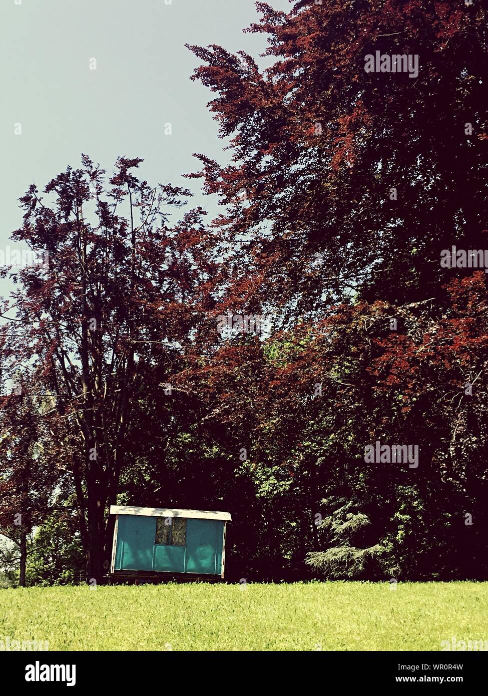 Camping under tree hi-res stock photography and images - Alamy