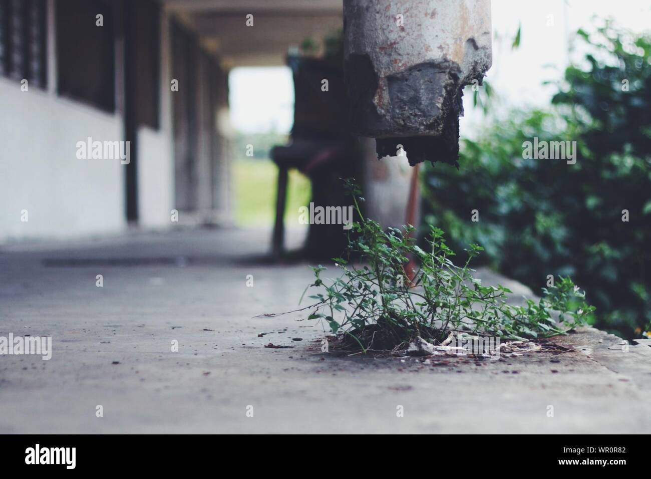 Broken column hi-res stock photography and images - Alamy