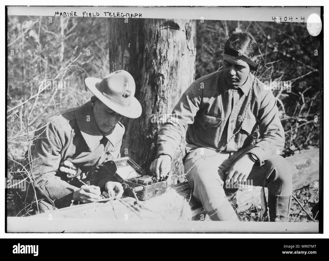 Telegraph Cut Out Stock Images & Pictures - Alamy