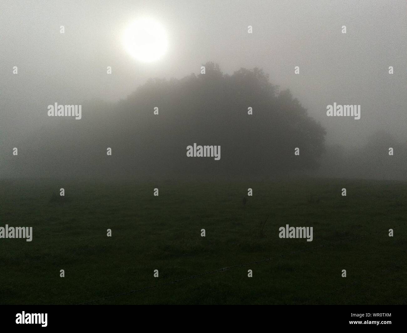 Rising sun and grass hi-res stock photography and images - Alamy