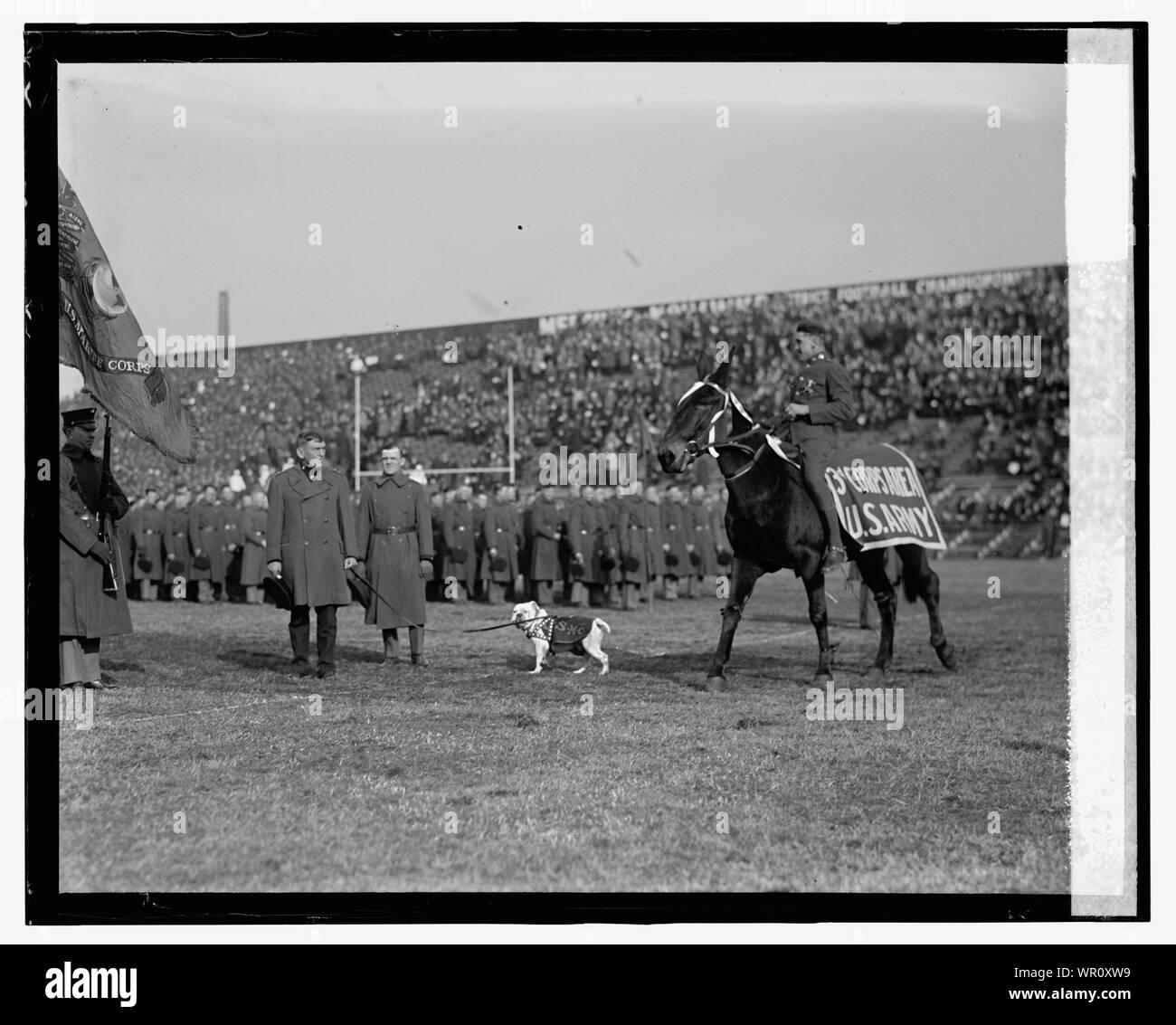 All army teams Cut Out Stock Images & Pictures - Alamy
