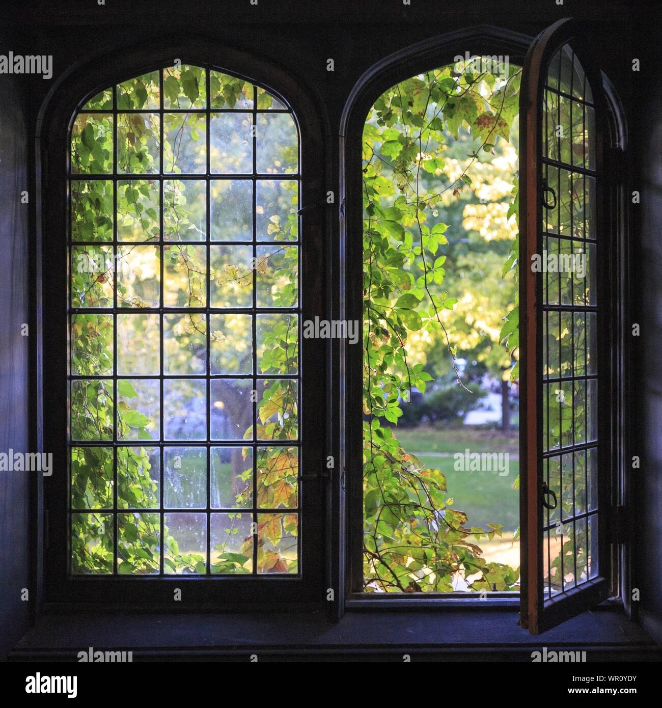 Window glass open hi-res stock photography and images - Alamy