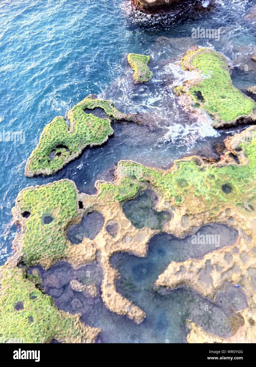 Moss covered rocks in sea hi-res stock photography and images - Alamy