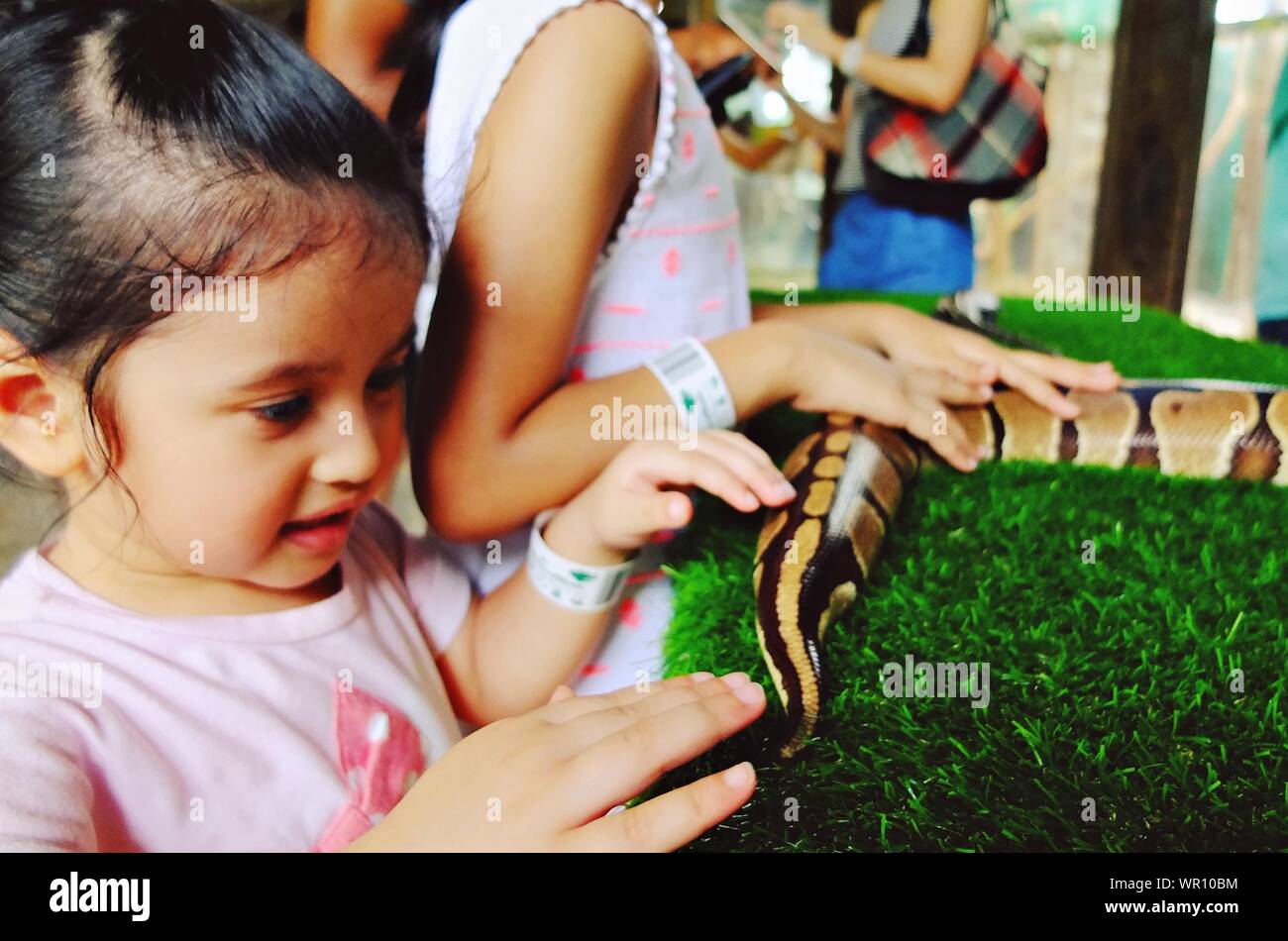 Cute girl snake hi-res stock photography and images - Alamy