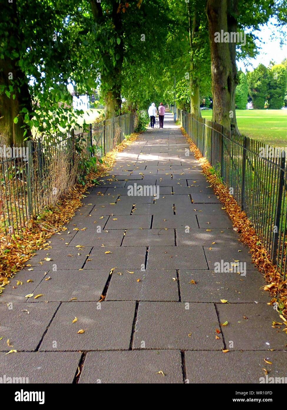 Tiled Floor Footpath In Park Stock Photo - Alamy