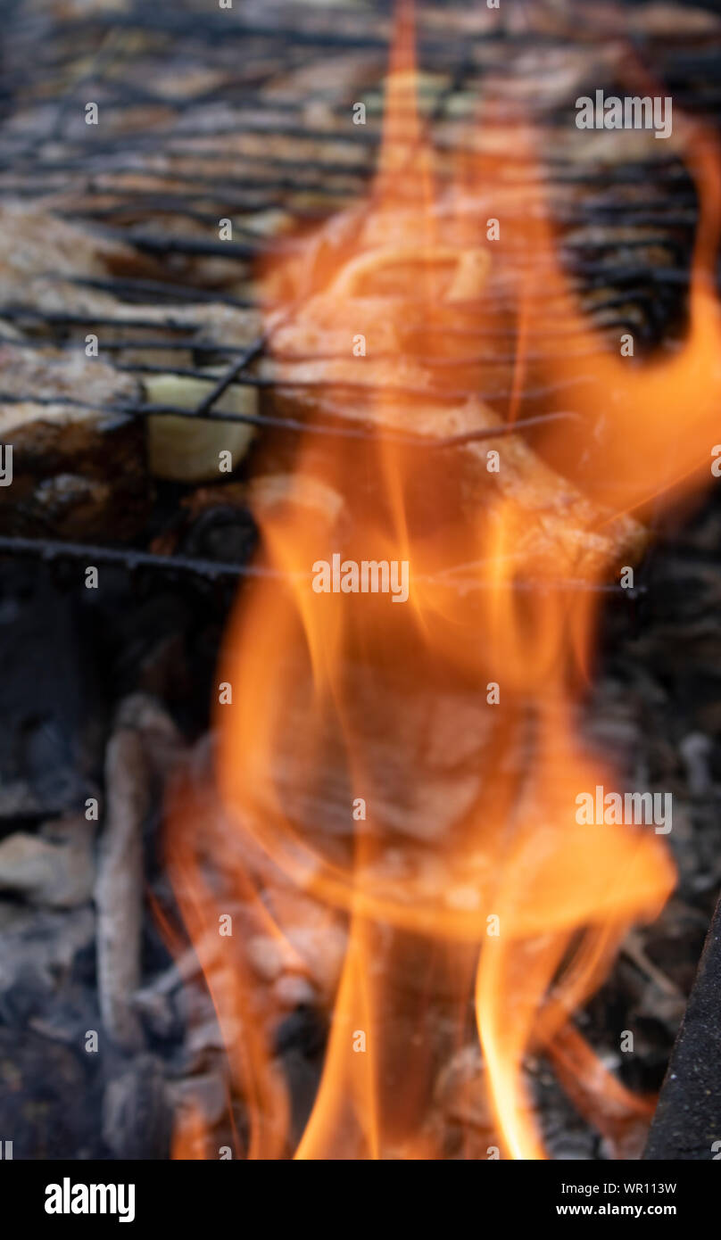 Roast seafood, smoke. fish baked on fire in a barbecue. Nobody Stock ...