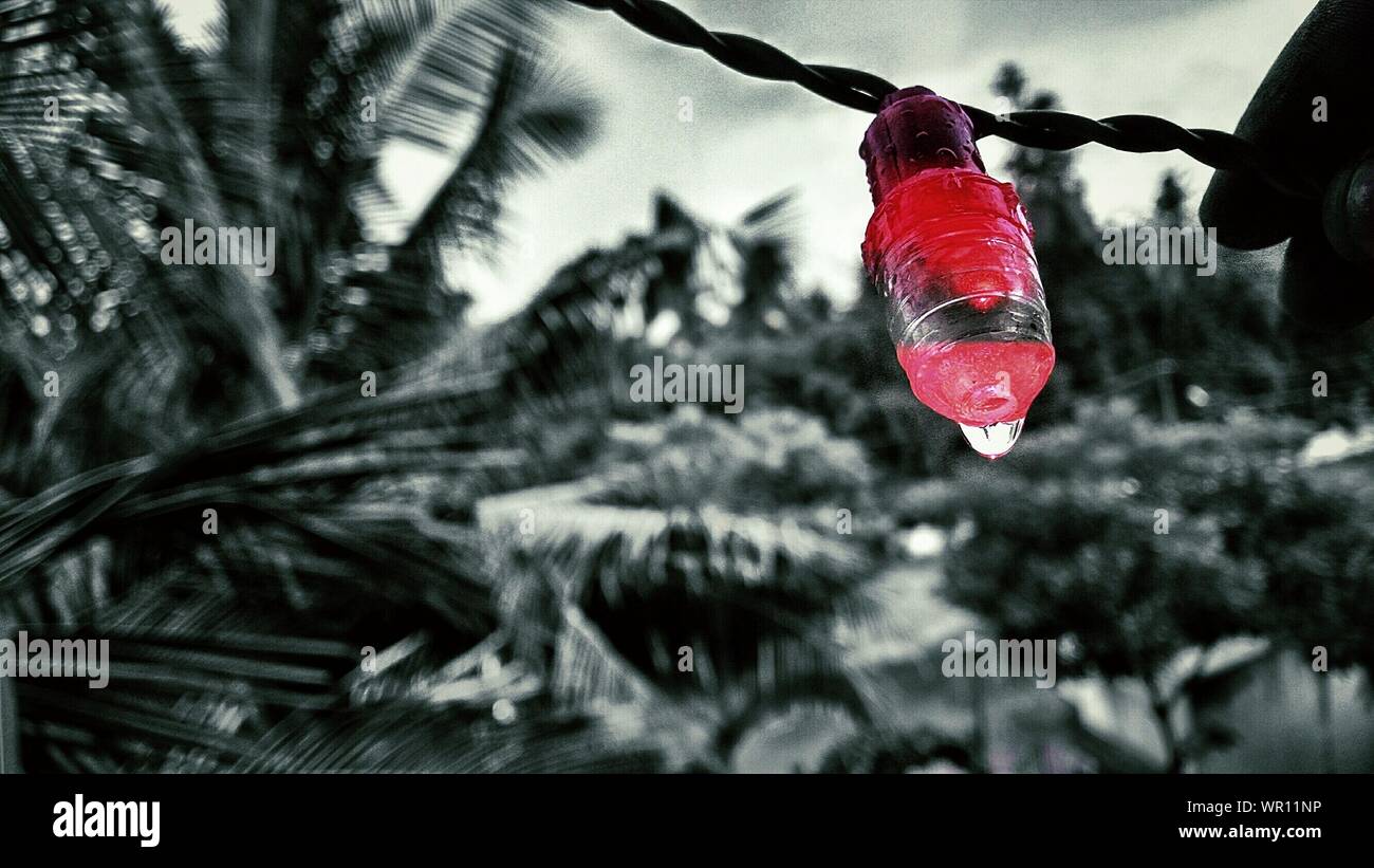 Raindrop On Light Bulb Stock Photo - Alamy