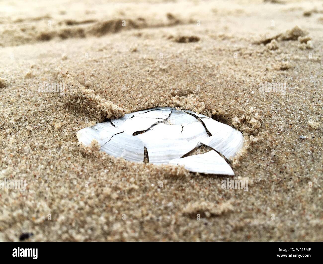 Damaged shell hi-res stock photography and images - Alamy