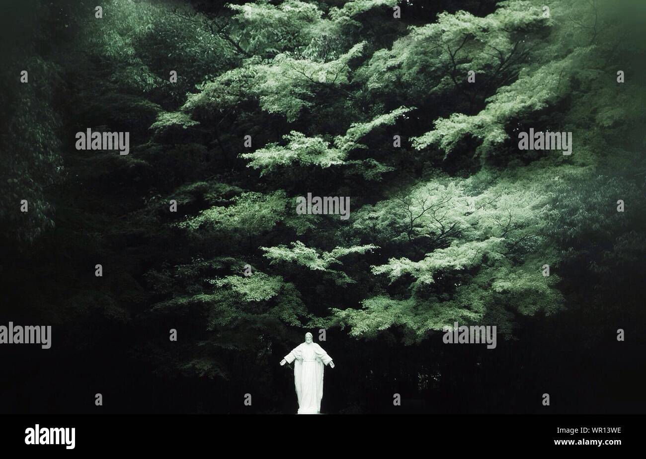 Christ of the branches hi-res stock photography and images - Alamy