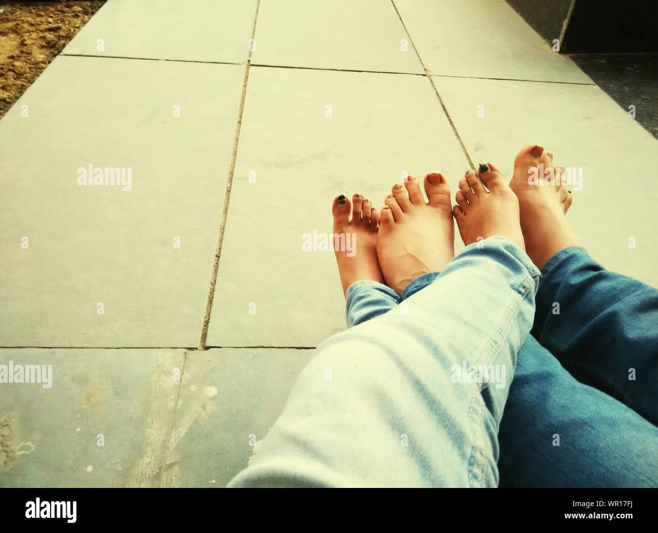 Front back legs hi-res stock photography and images - Alamy