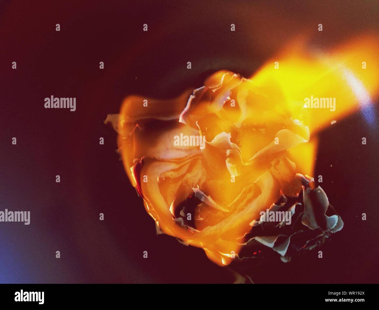 Burning orange hi-res stock photography and images - Alamy