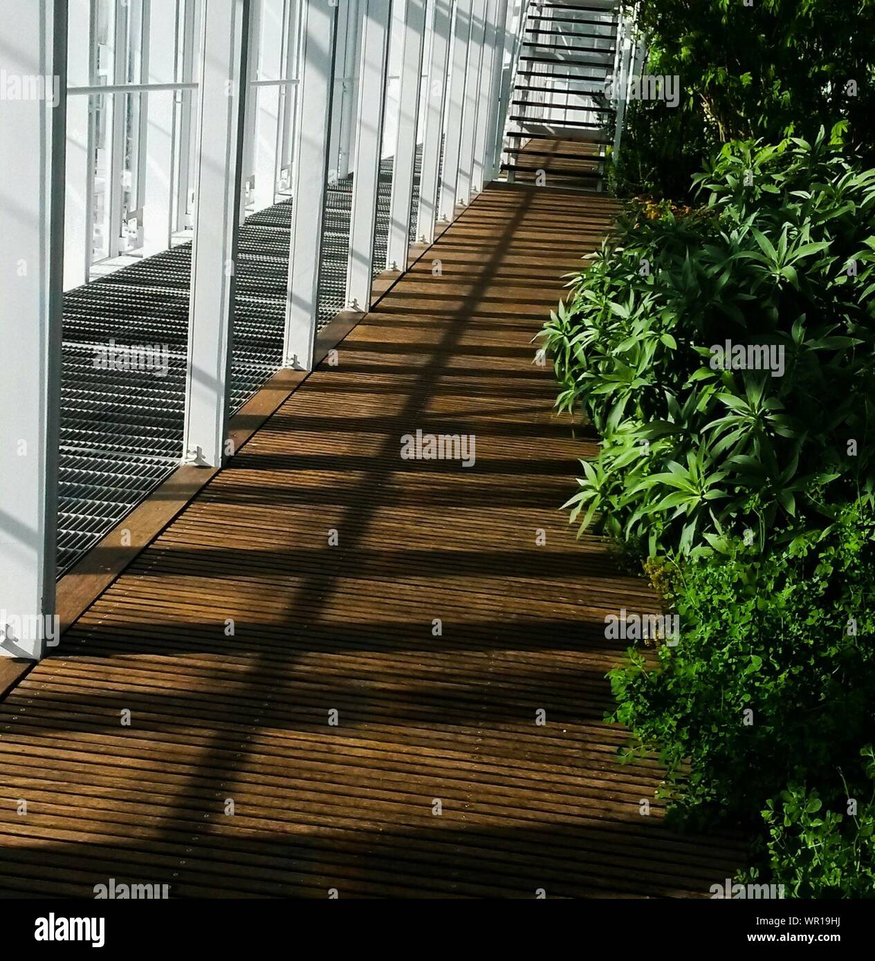 Office plants hi-res stock photography and images - Alamy