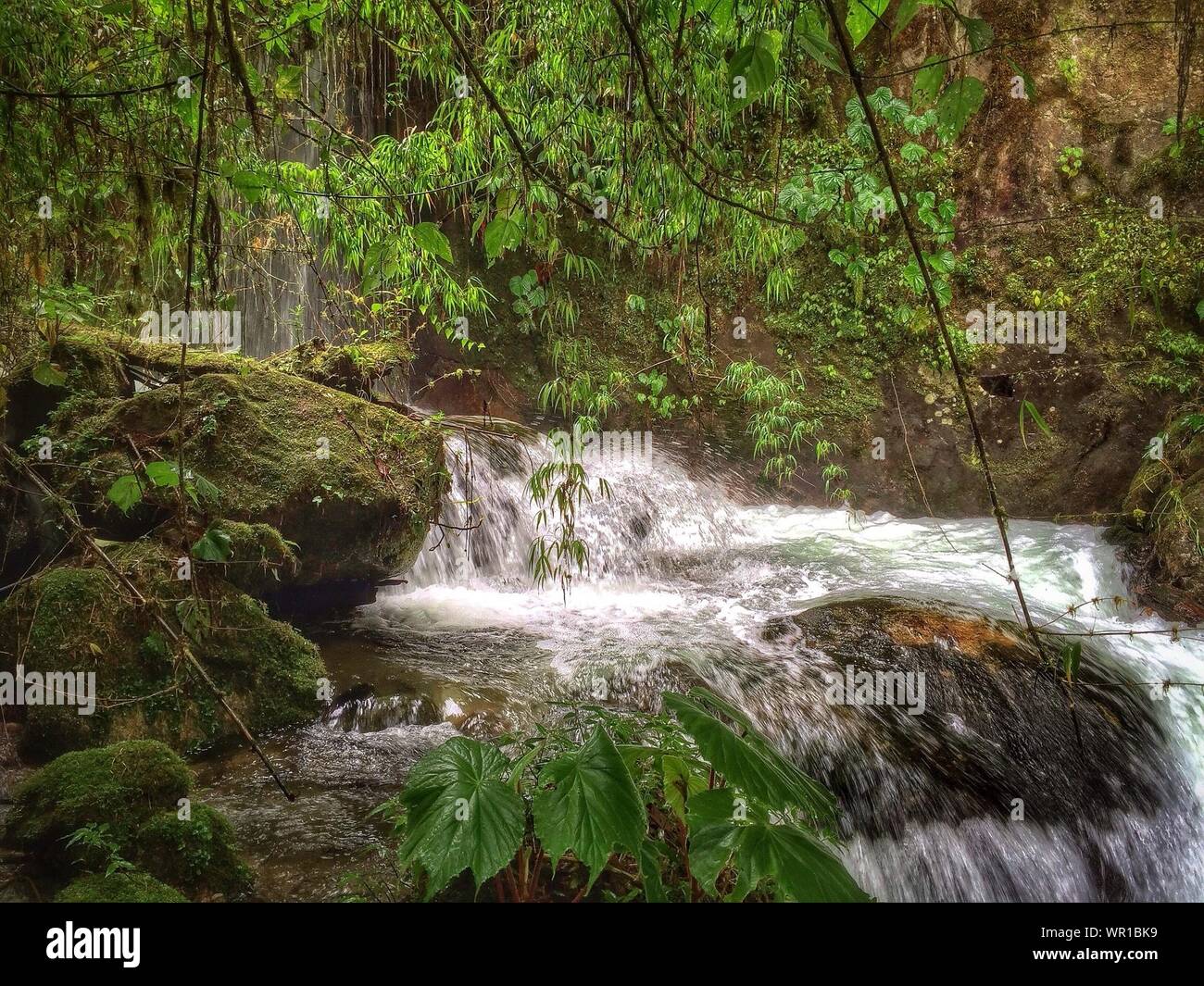 Scenic Landscape With Waterfall Stock Photo - Alamy