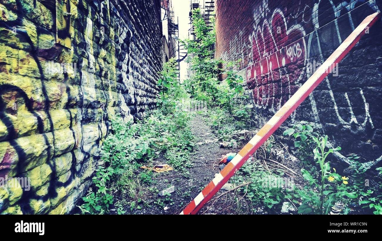 Dirt Graffiti High Resolution Stock Photography and Images - Alamy
