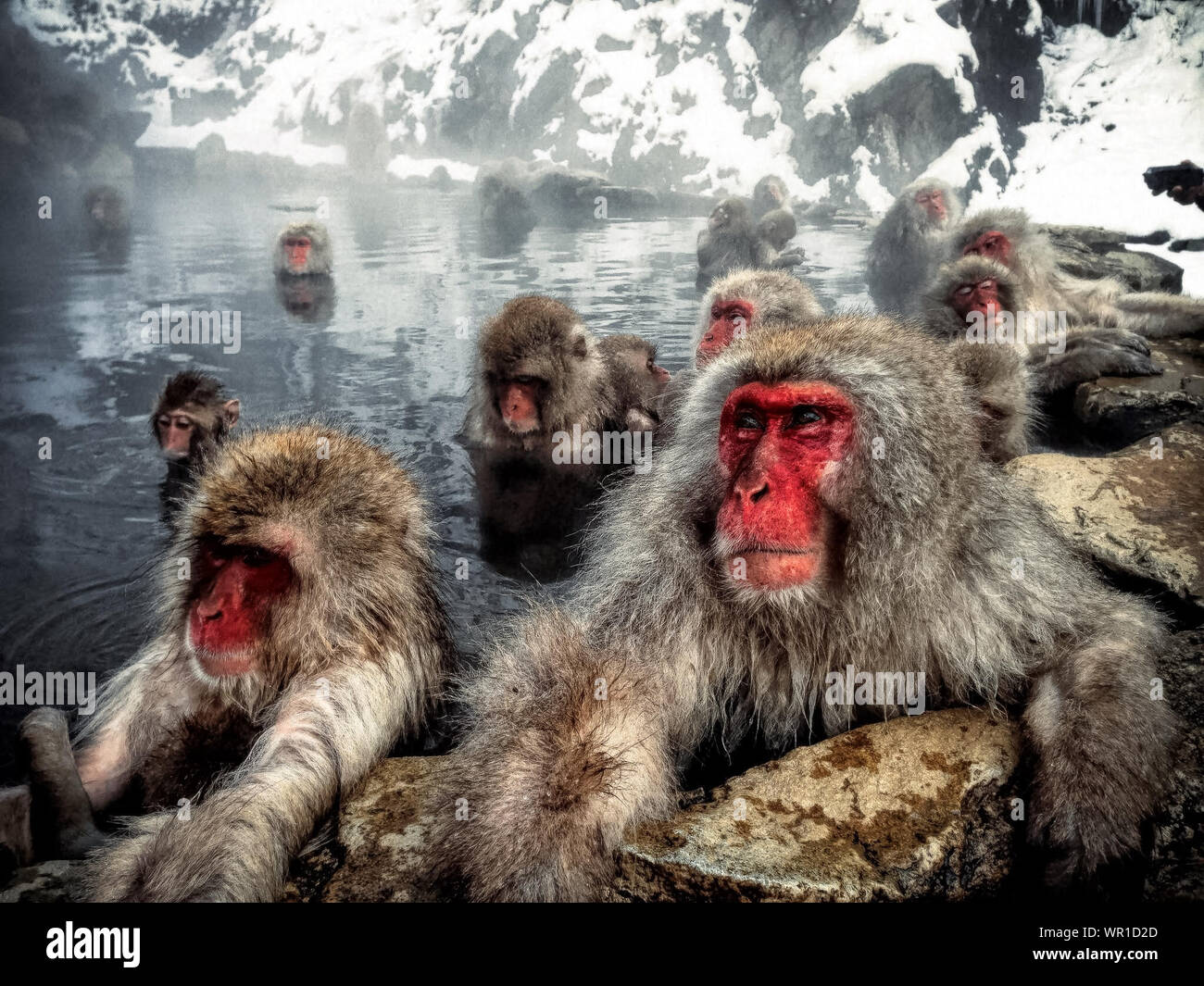 Red hot spring hi-res stock photography and images - Alamy