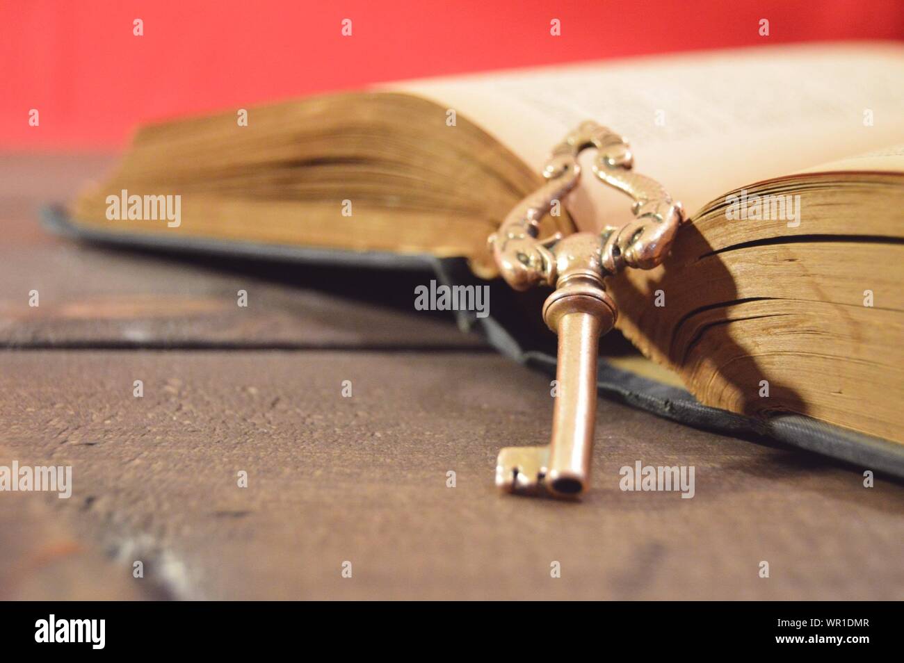 Skeleton Religion High Resolution Stock Photography and Images - Alamy