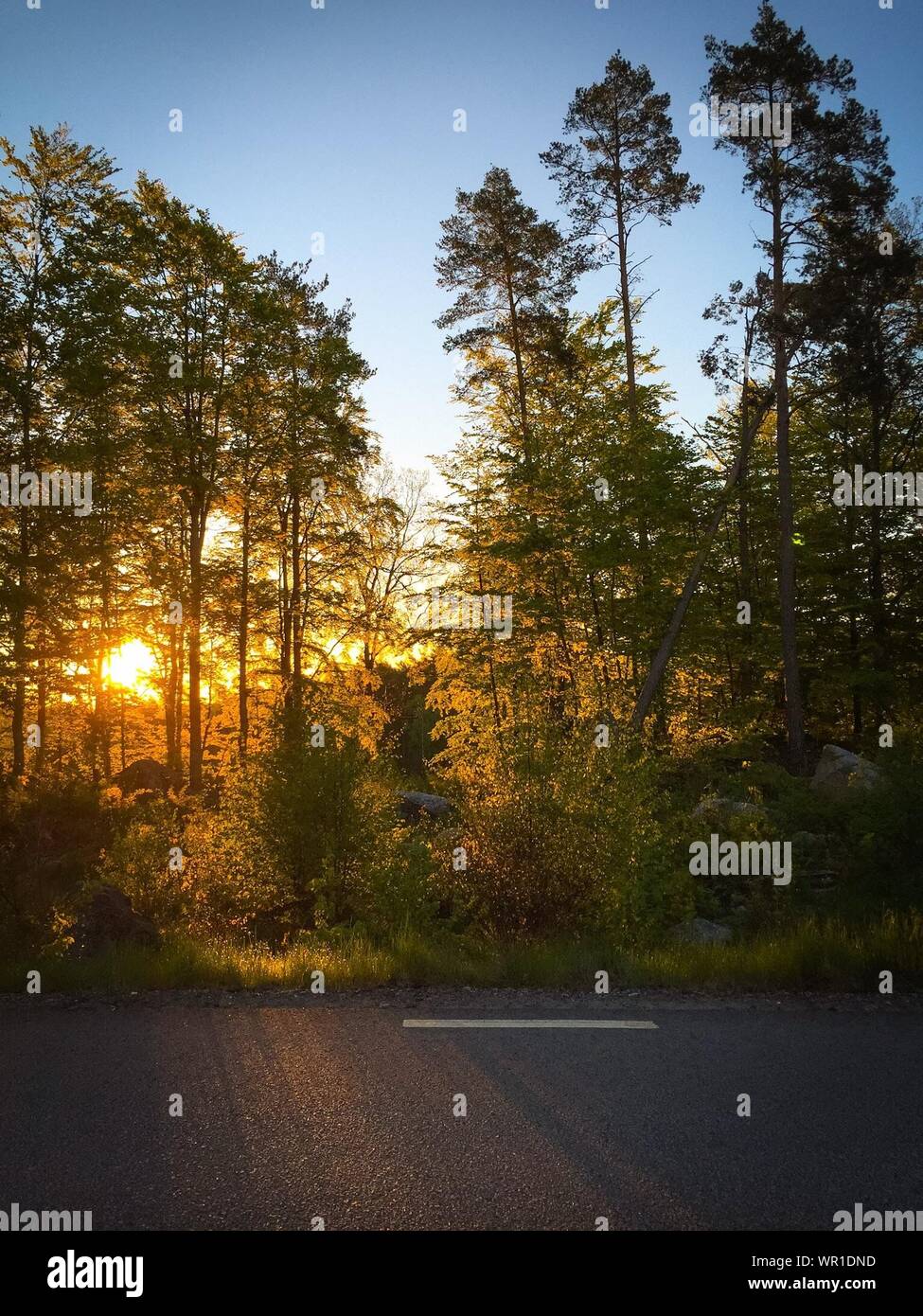 Road in front of sunset hi-res stock photography and images - Alamy