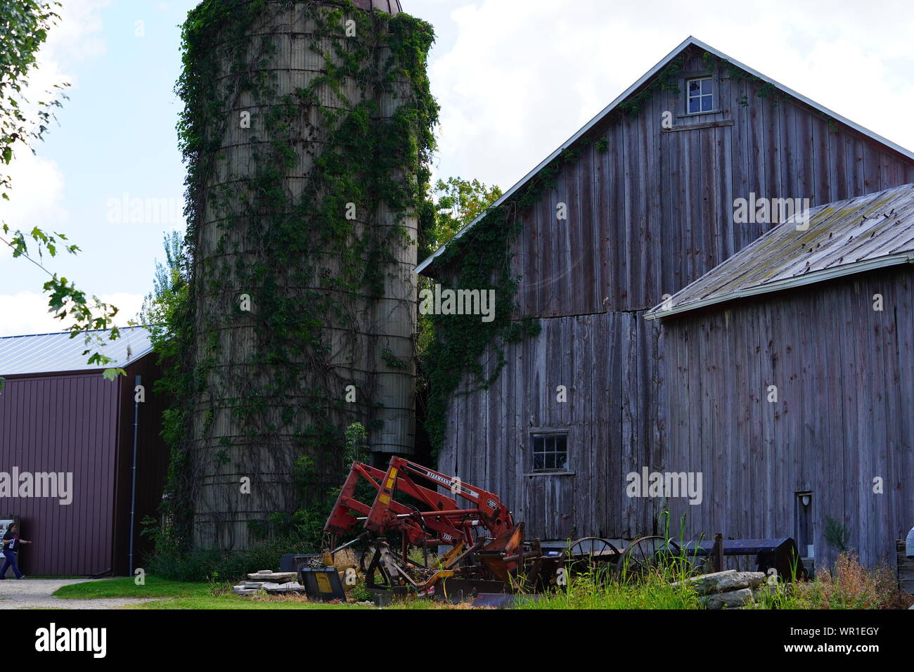 barn, farm, nature, rural, old, wood, agriculture, background, wooden ...