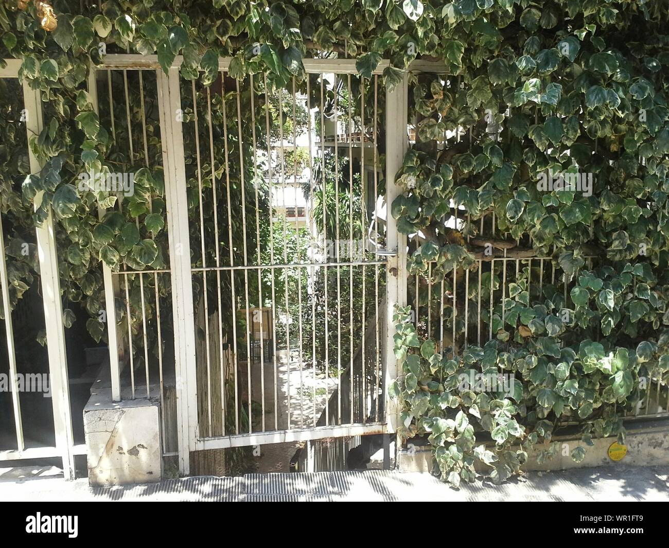 Gate plants hi-res stock photography and images - Alamy