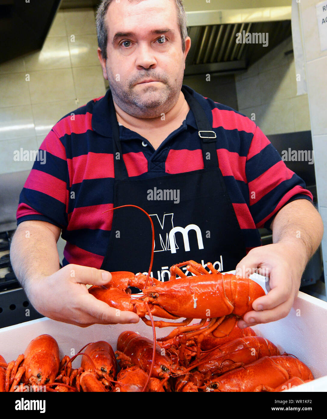 Holding lobster hi-res stock photography and images - Alamy