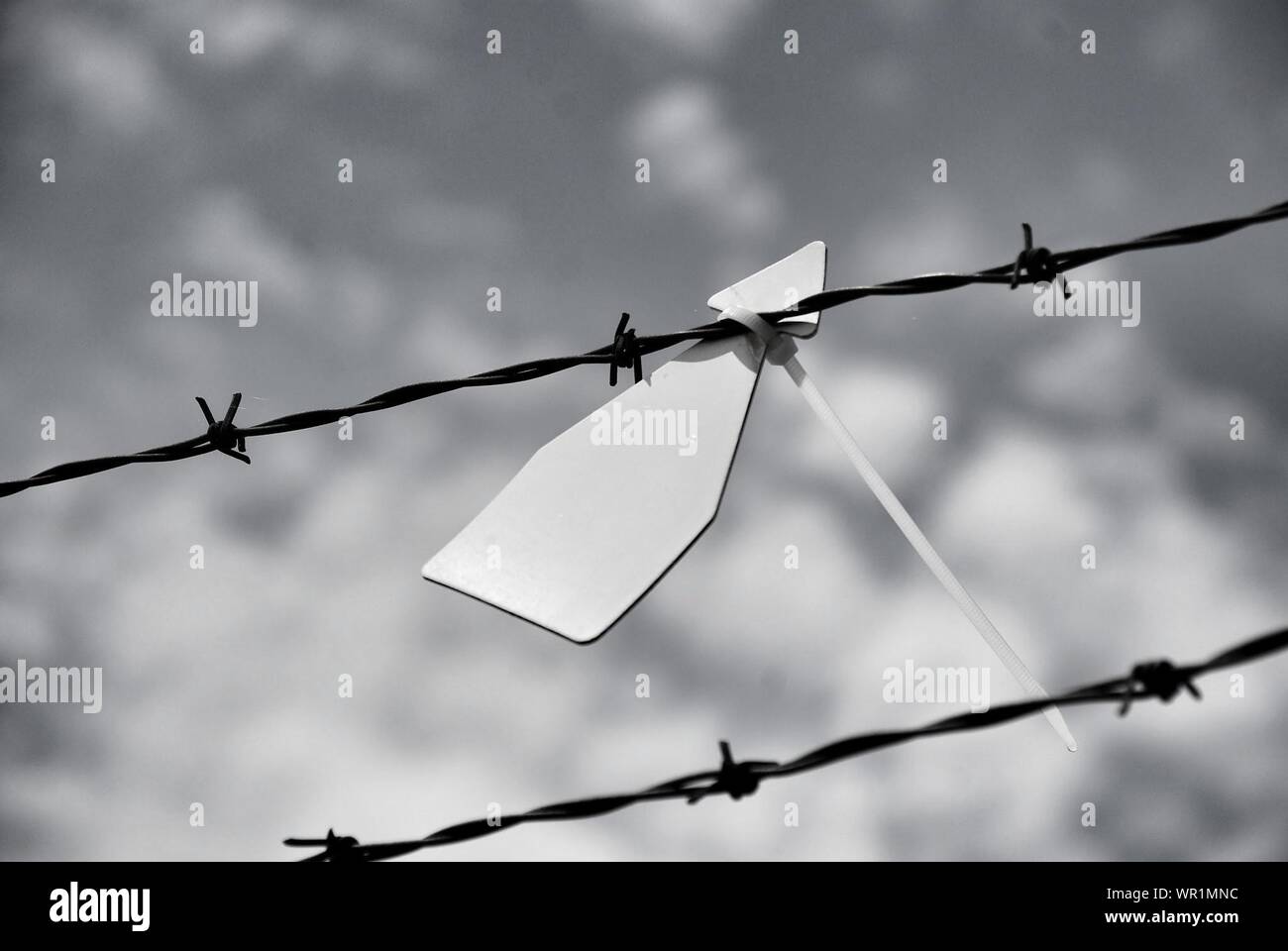 Arrow Symbol Tied Up On Barbed Wire Stock Photo - Alamy