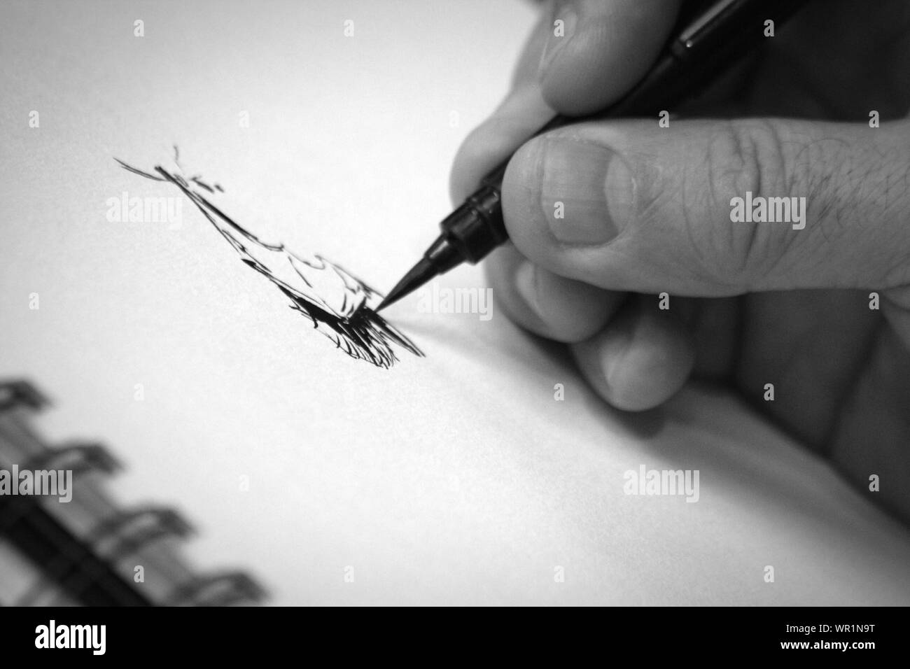 Close up man hand drawing hi-res stock photography and images - Alamy