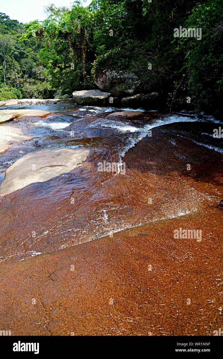 Shallow river hi-res stock photography and images - Alamy