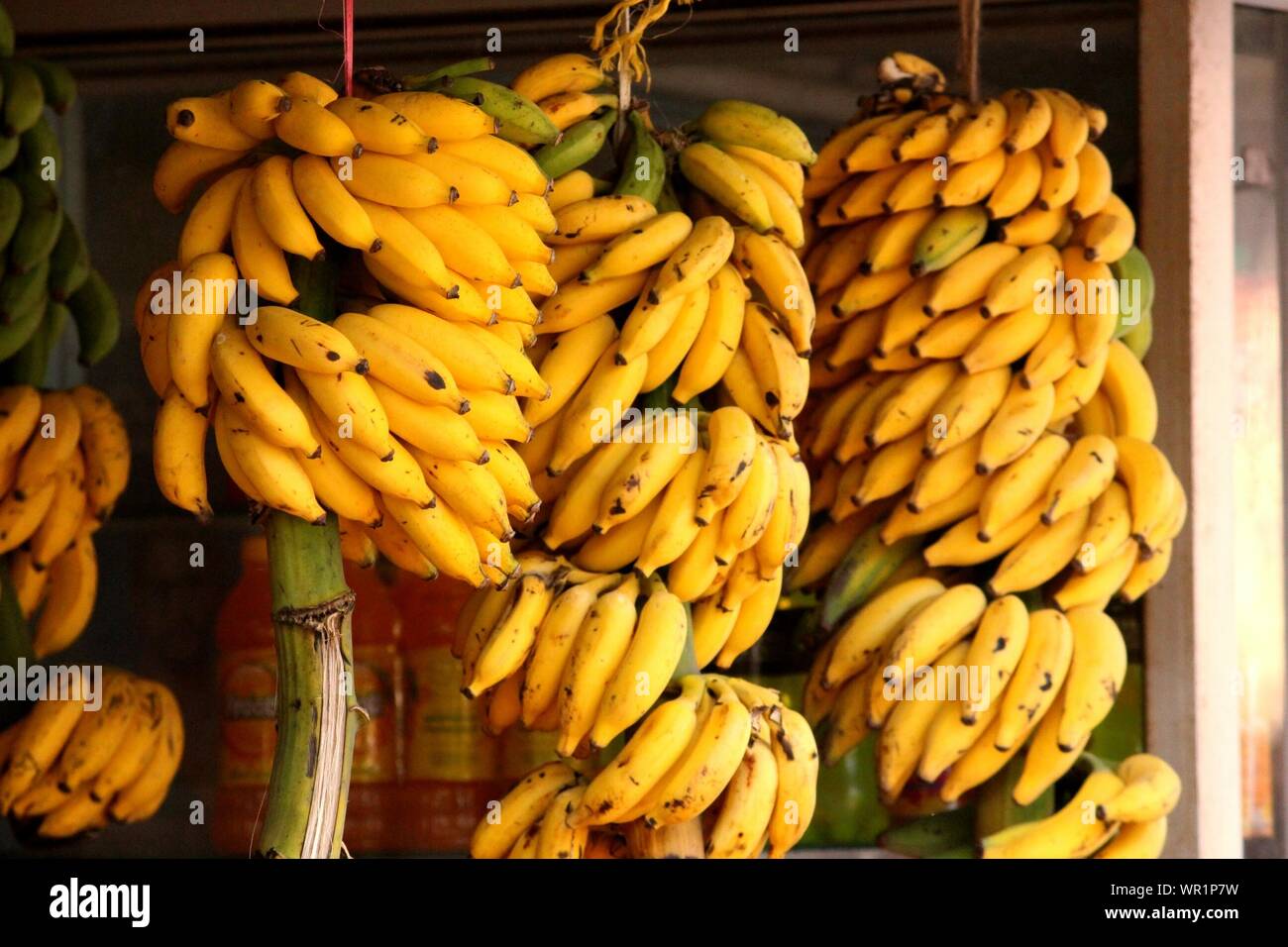 Display of bananas hi-res stock photography and images - Alamy