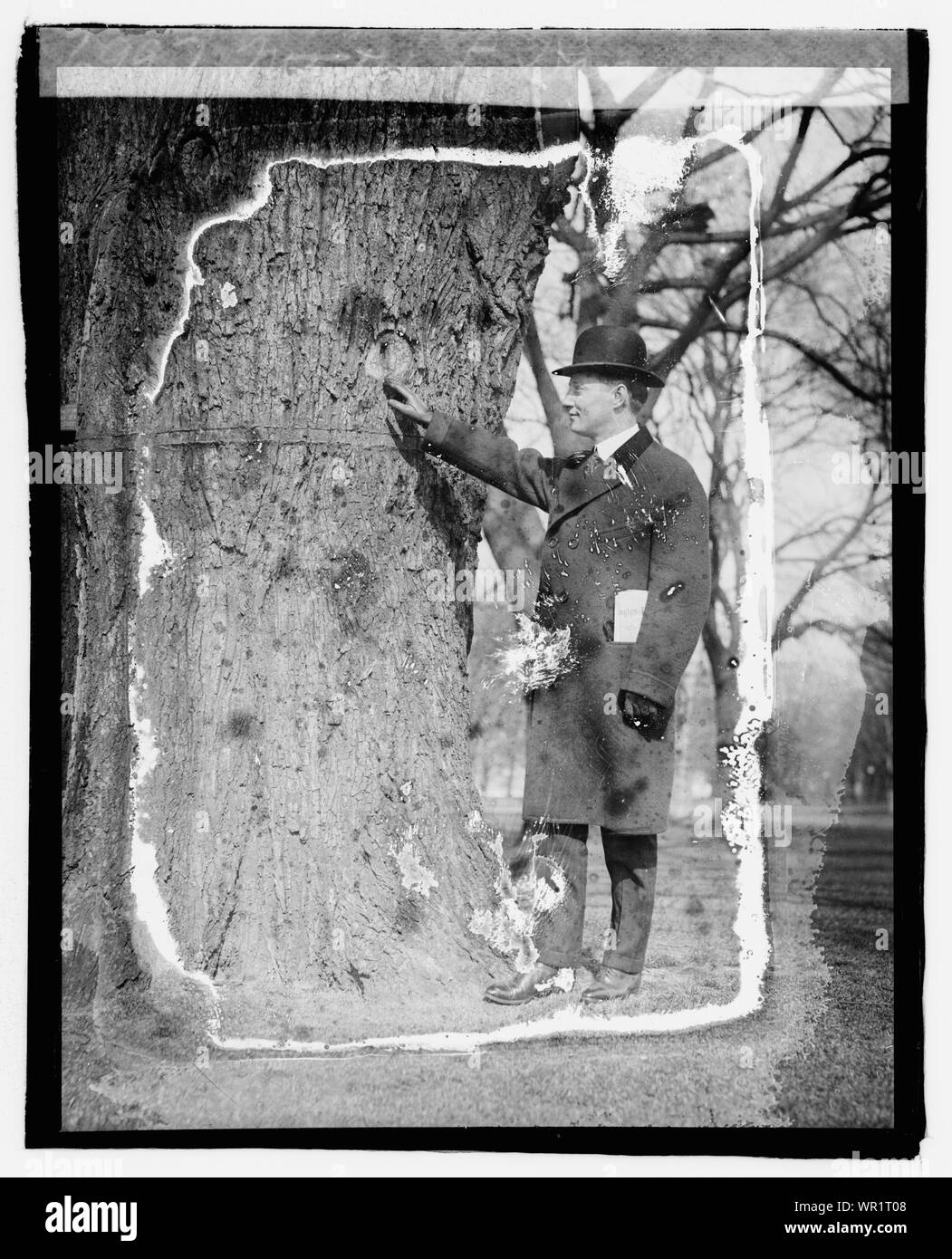 Martin L. Davey Stock Photo - Alamy