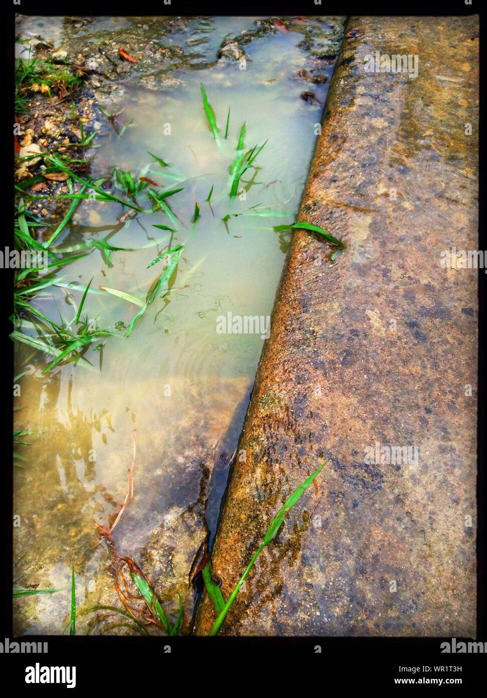 Submerged In Mud High Resolution Stock Photography and Images - Alamy