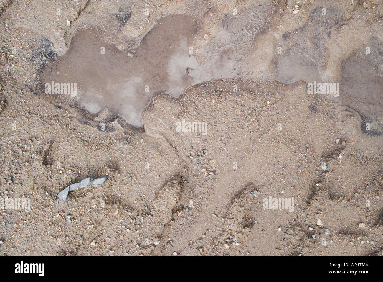 Grunge wet soil background. Autumn puddle. Soil texture Stock Photo - Alamy