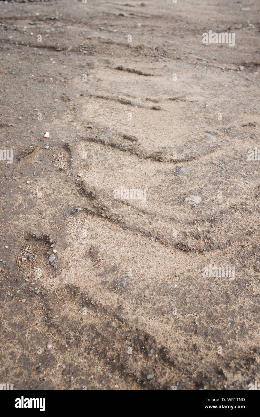 Grunge countryside road. Earth background. Brown earth Stock Photo - Alamy
