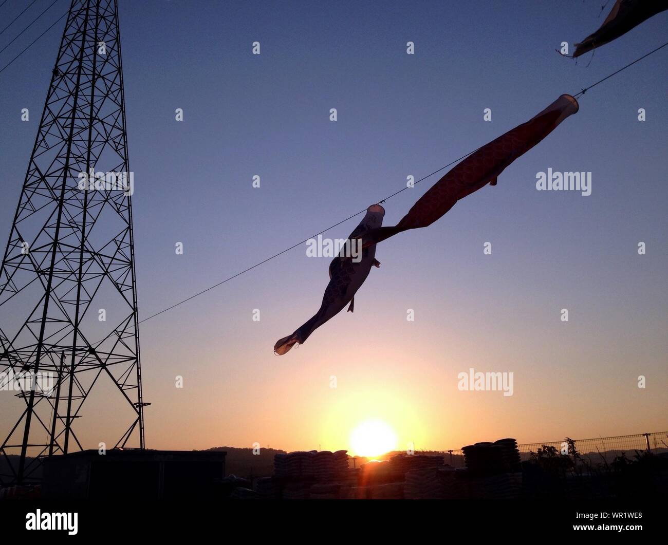 Koi fish kite hi-res stock photography and images - Alamy