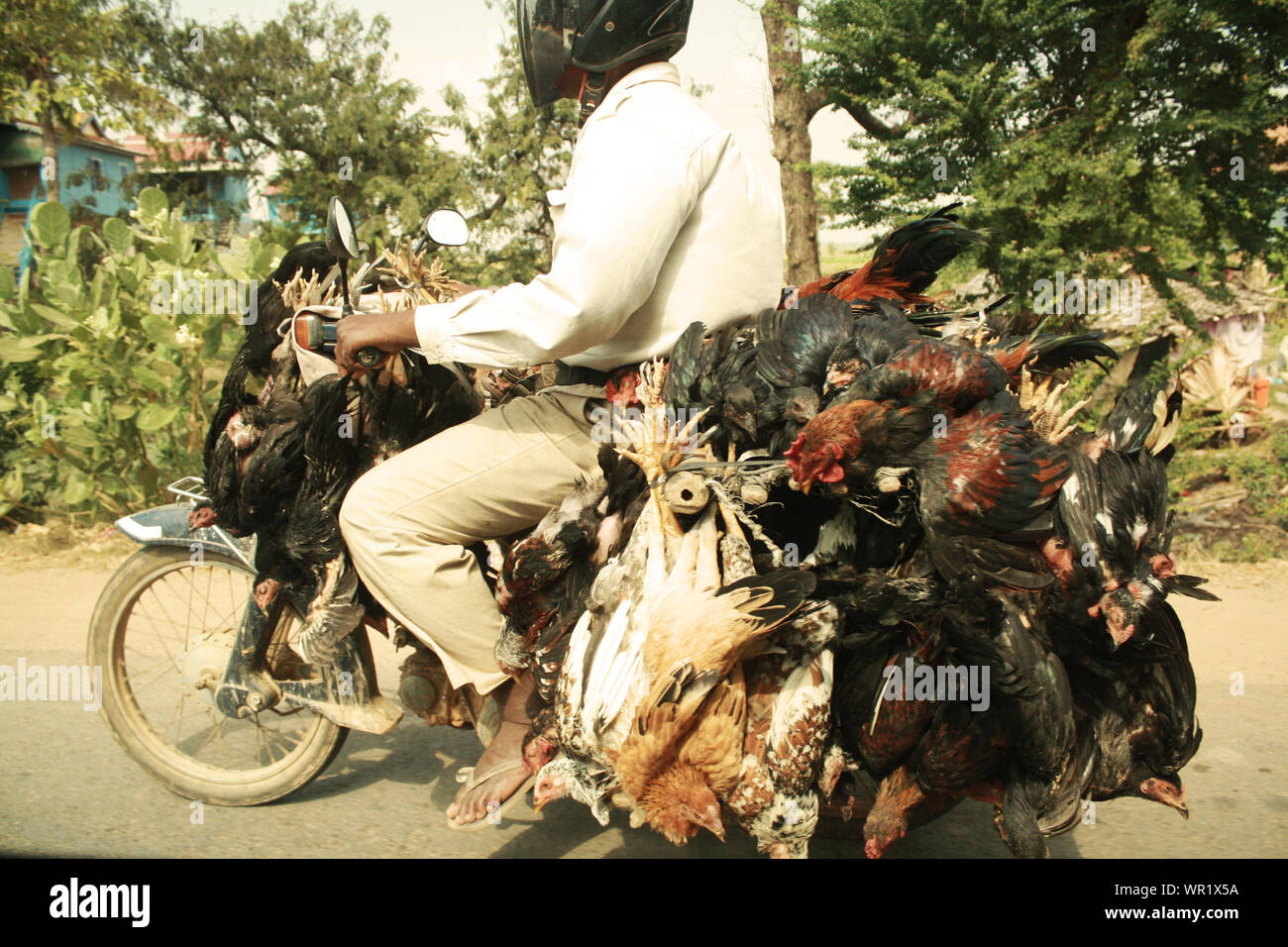 Group riding motorcycle hi-res stock photography and images - Alamy