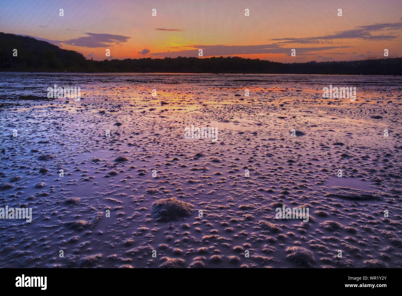 Sunset and wetland hi-res stock photography and images - Alamy
