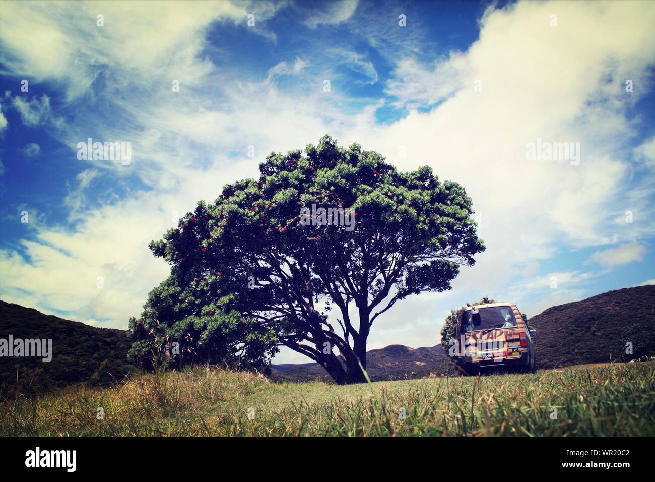 Parked under tree hi-res stock photography and images - Alamy