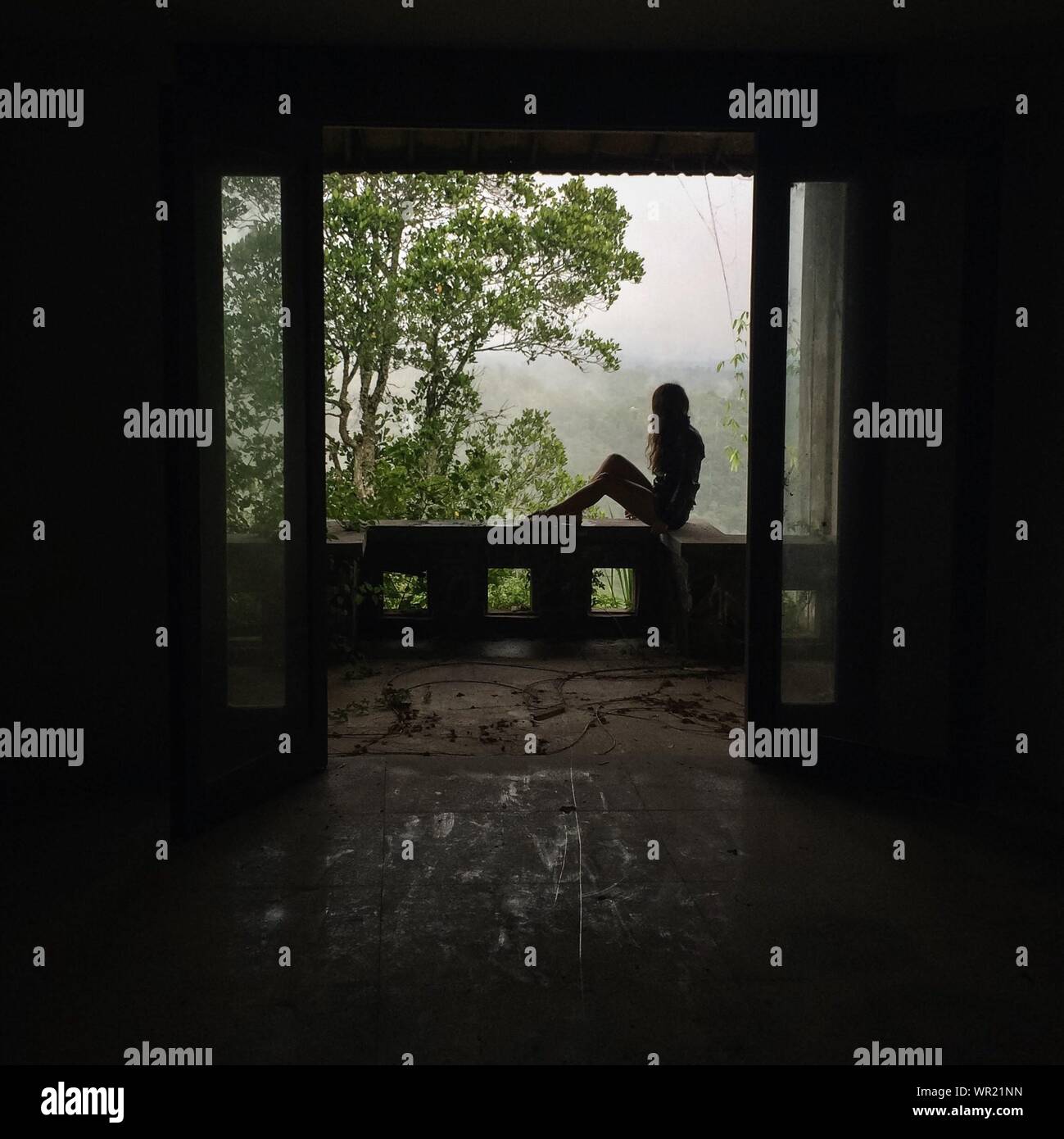 Silhouette glass rear view hi-res stock photography and images - Alamy