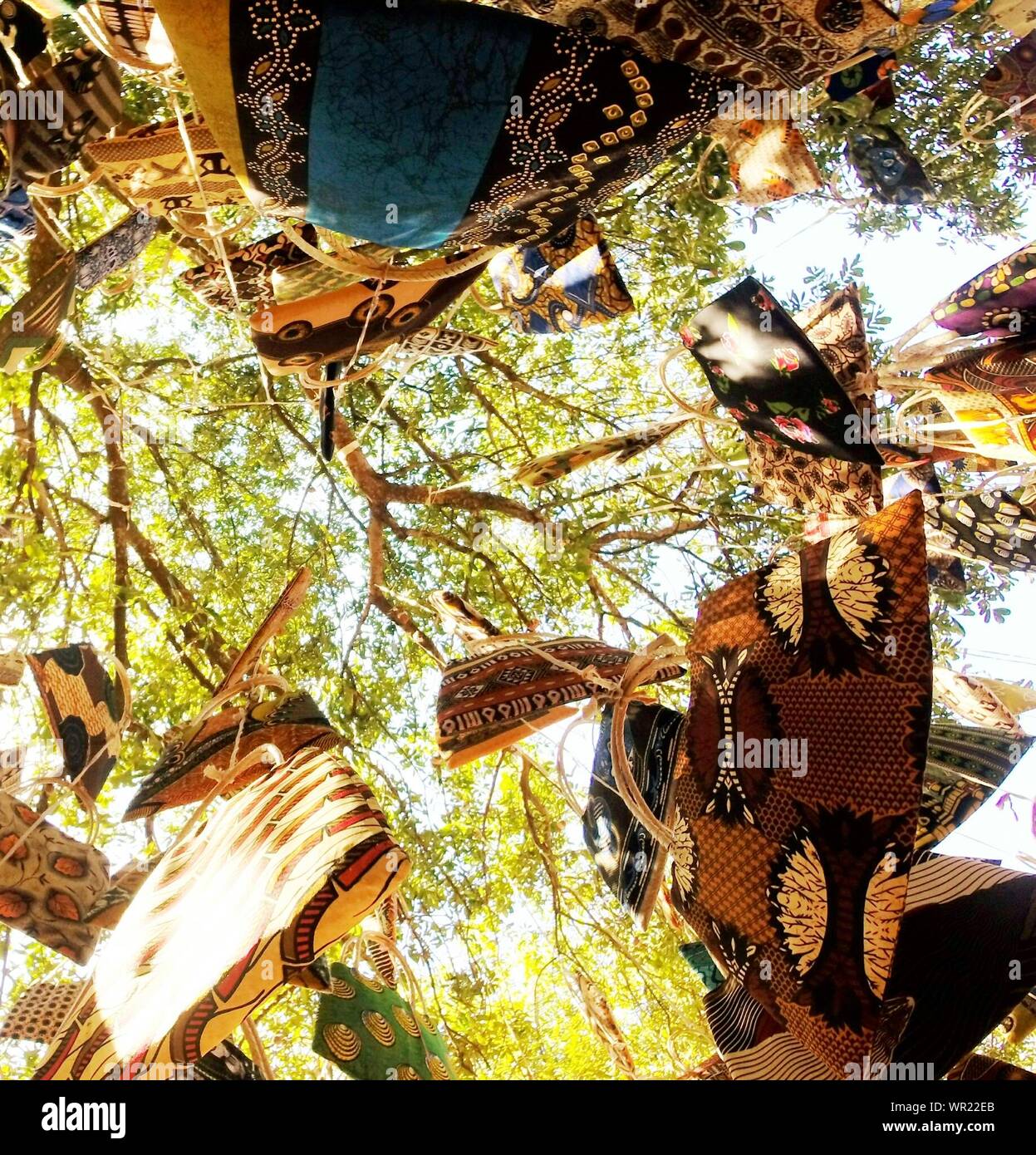 Tree bags hi-res stock photography and images - Alamy