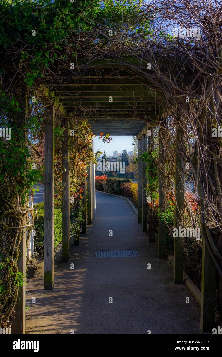 With arbour hi-res stock photography and images - Alamy